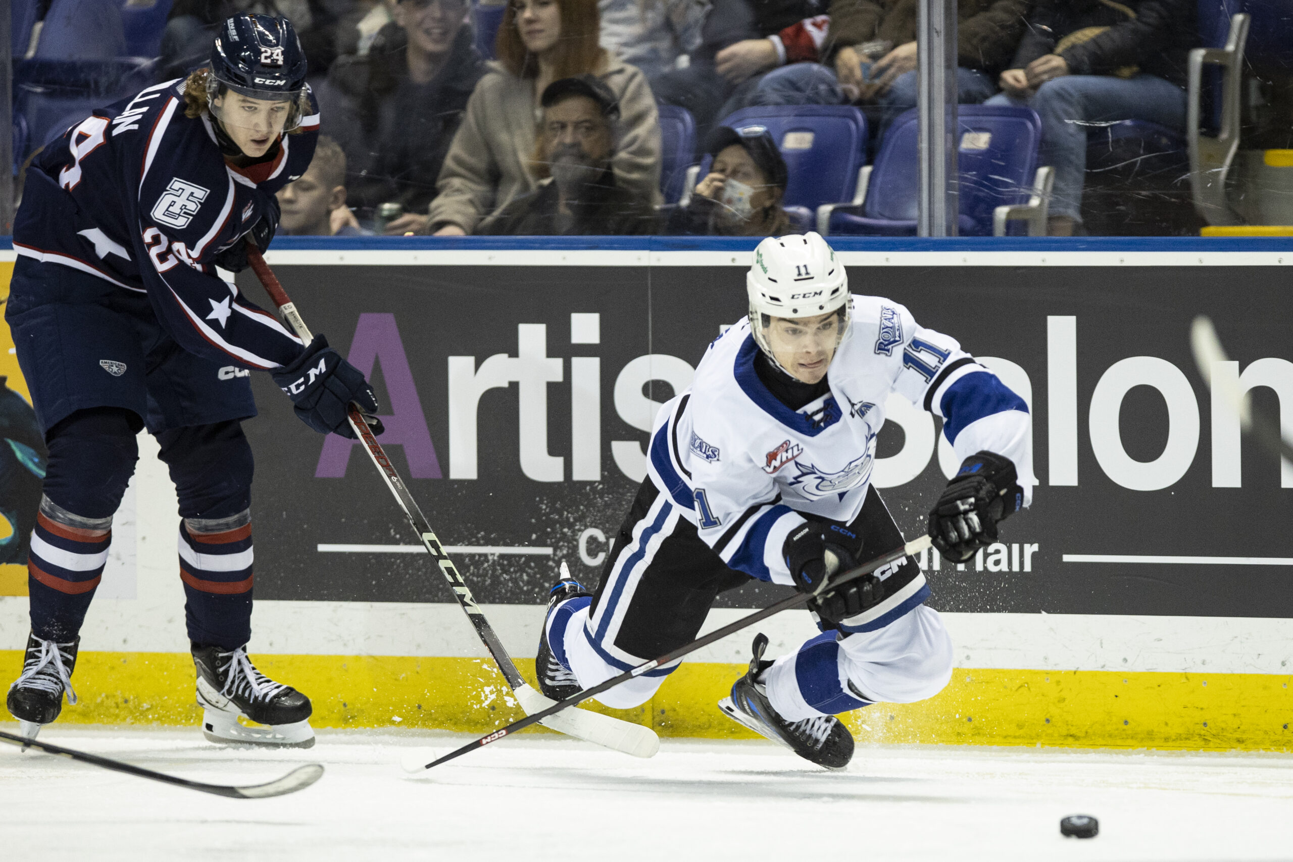 Highlights | Dec, 15 | Americans @ Royals - Victoria Royals