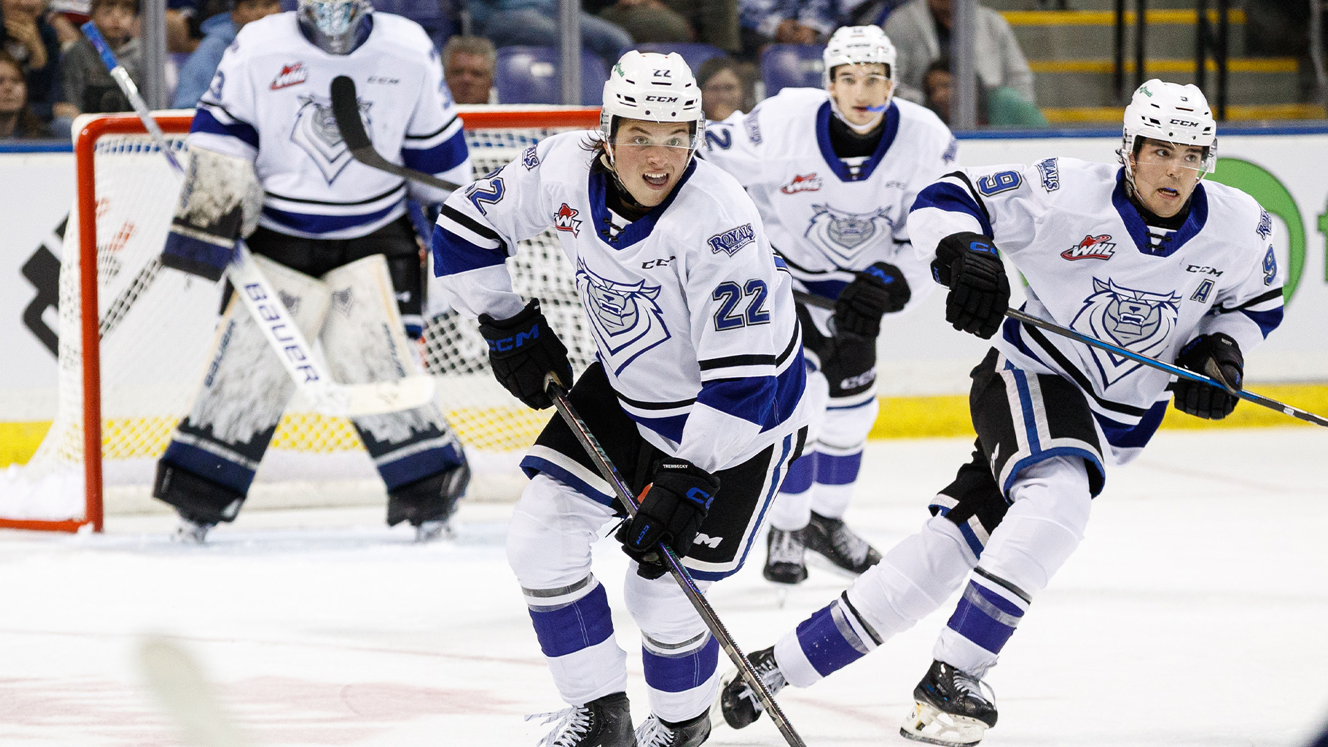 Weekend Preview: October 11th & 12th - Victoria Royals