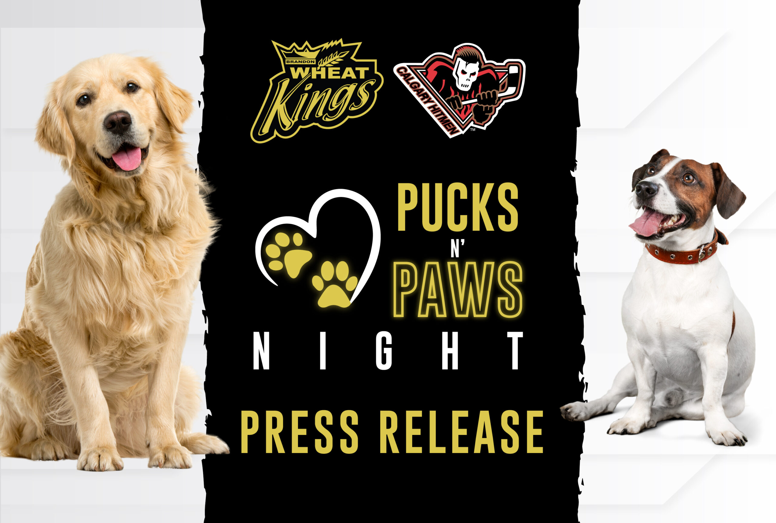 Pucks N Paws Night Details Announced - Brandon Wheat Kings