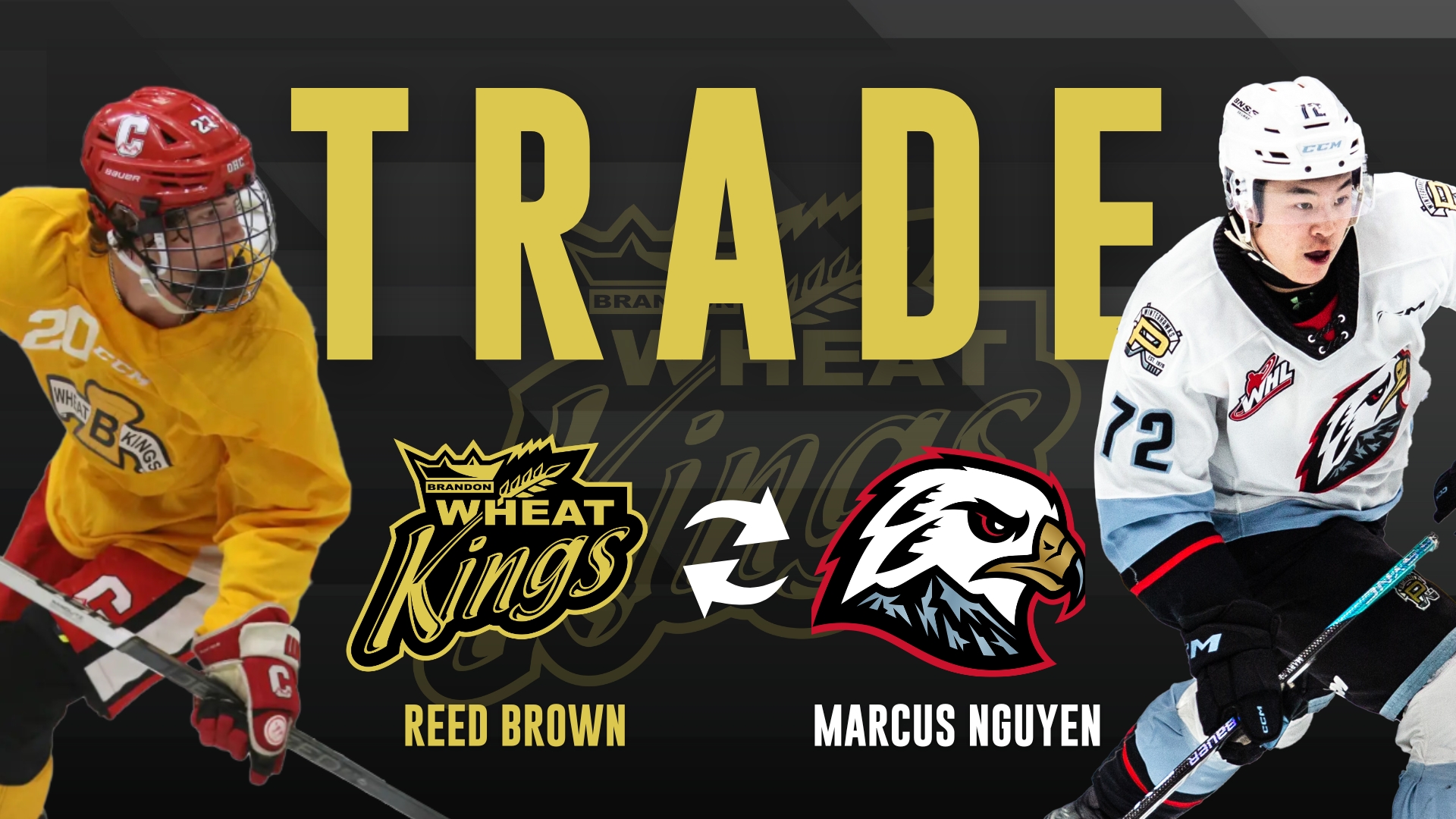Brandon Wheat Kings