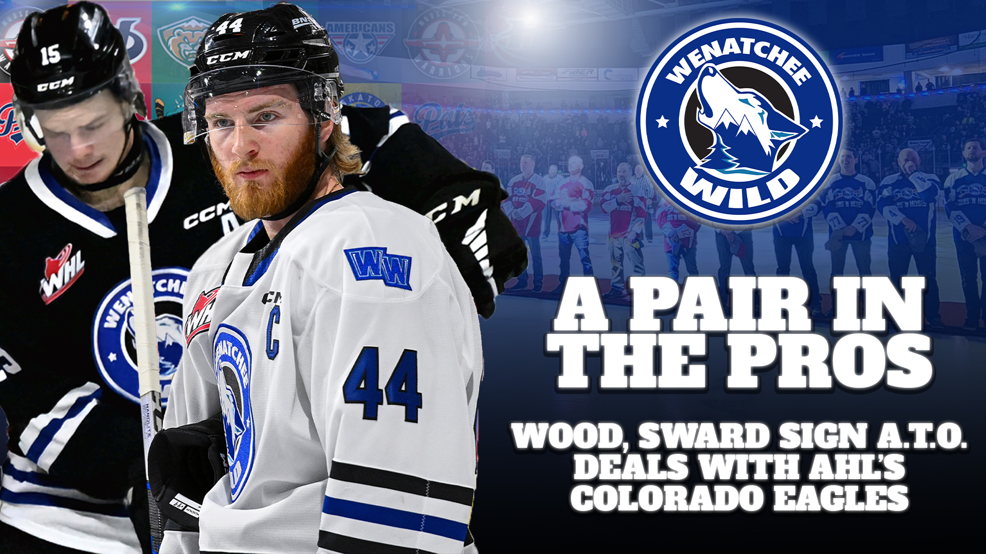 Wild Announce Signing of Sward, Wood by AHL's Colorado Eagles ...