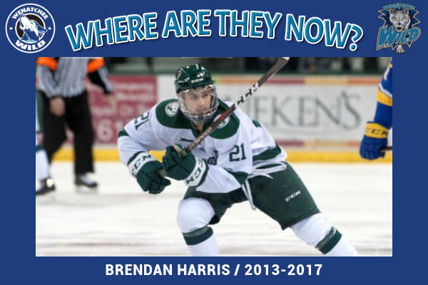 WHERE ARE THEY NOW? – BRENDAN HARRIS - Wenatchee Wild