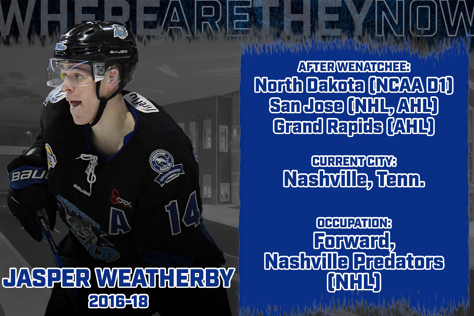 Where Are They Now? - Wenatchee Wild