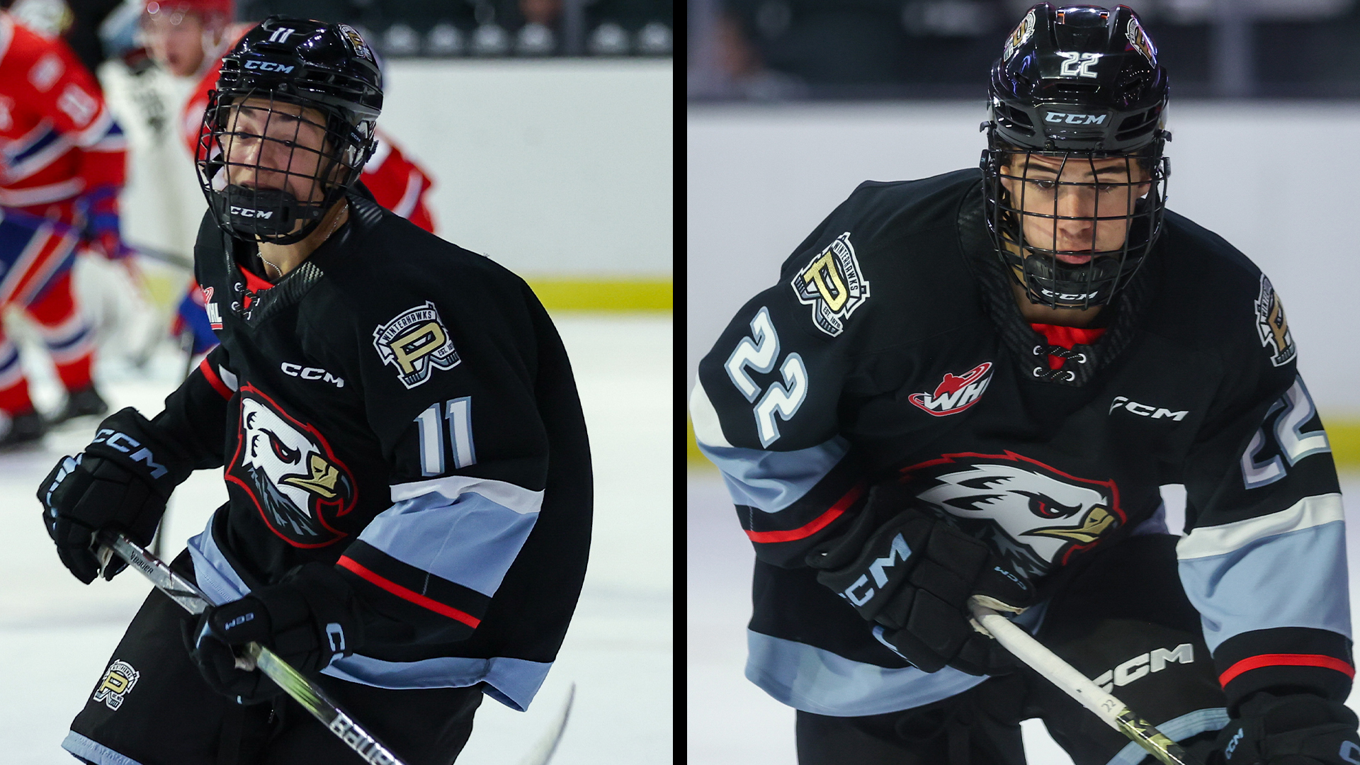 Winterhawks reassign Chapman, Darby to U18 programs - Portland Winterhawks