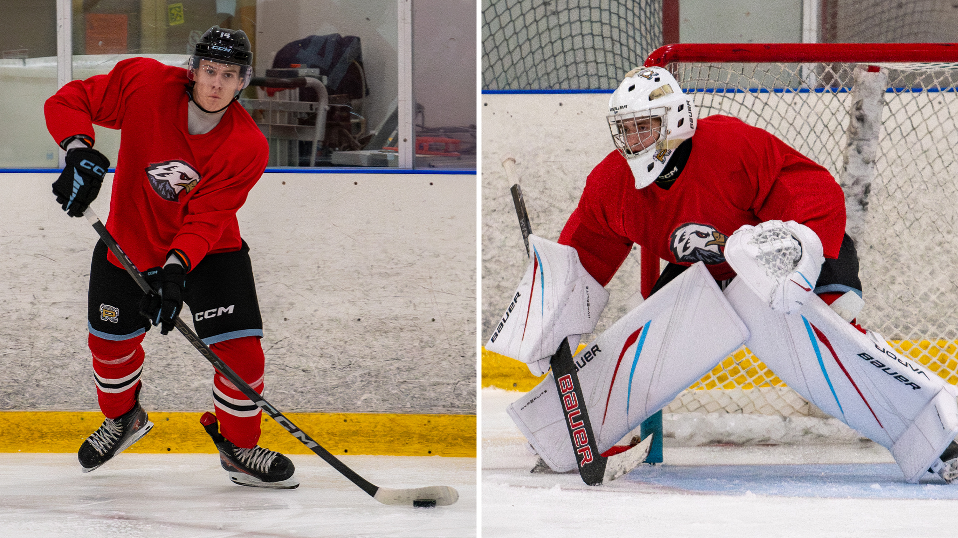 Hawks bolster roster with Czech talent: Štěbeták and Chaloupka ready ...