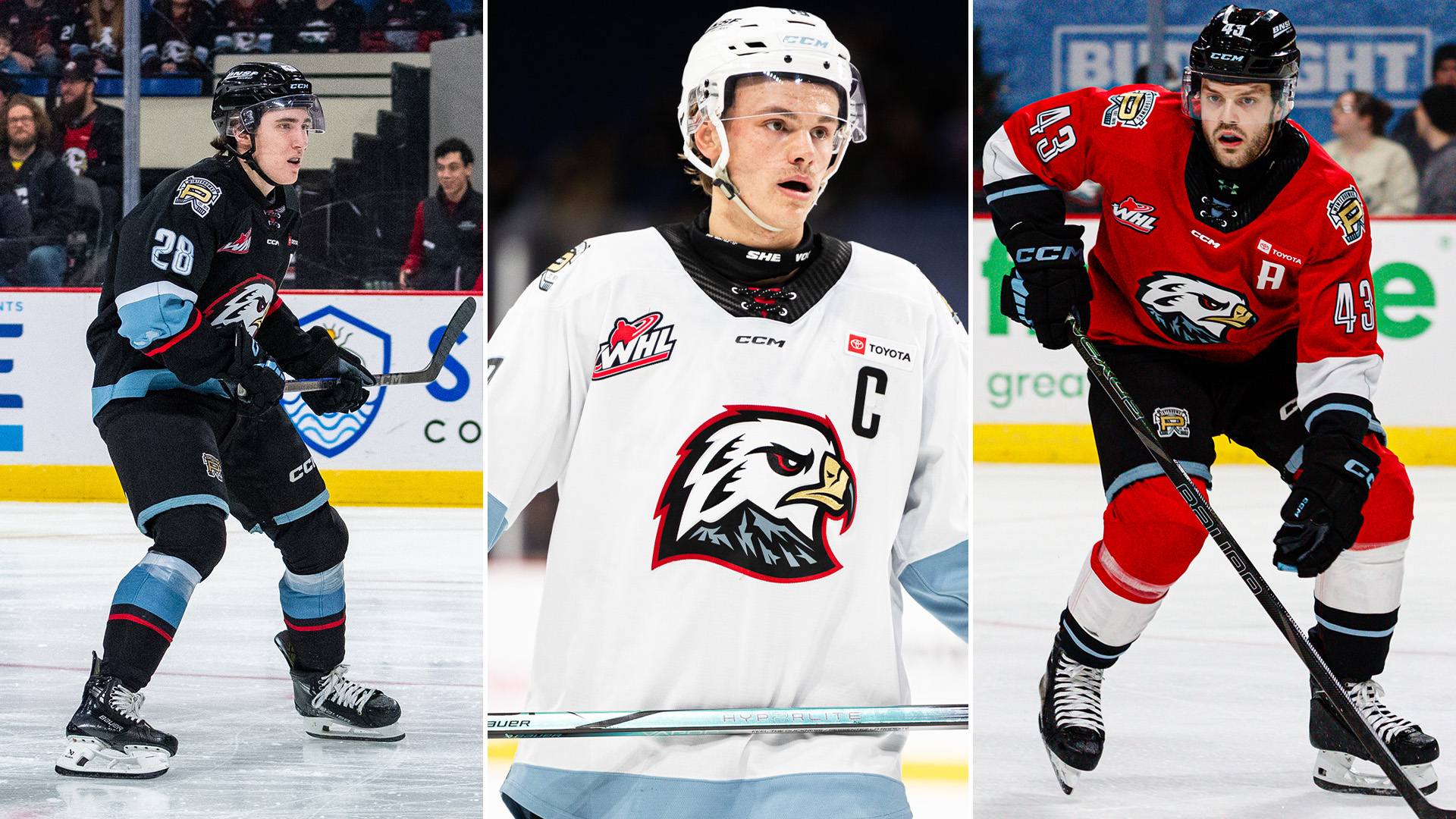 Winterhawks Postseason Success - Portland Winterhawks