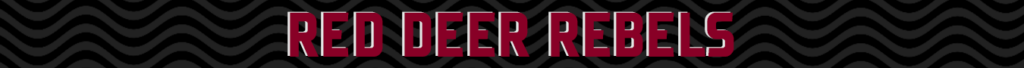 Group Experiences - Red Deer Rebels