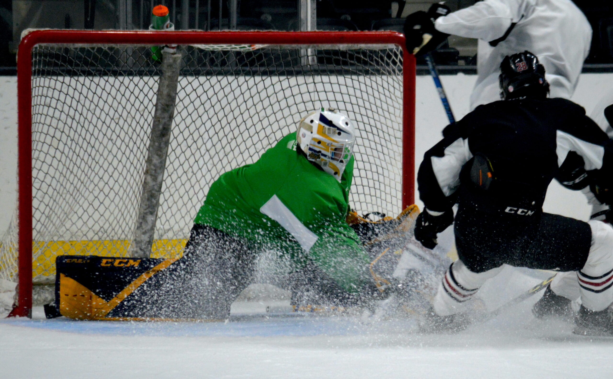Lack of size no problem for Kondro - Red Deer Rebels