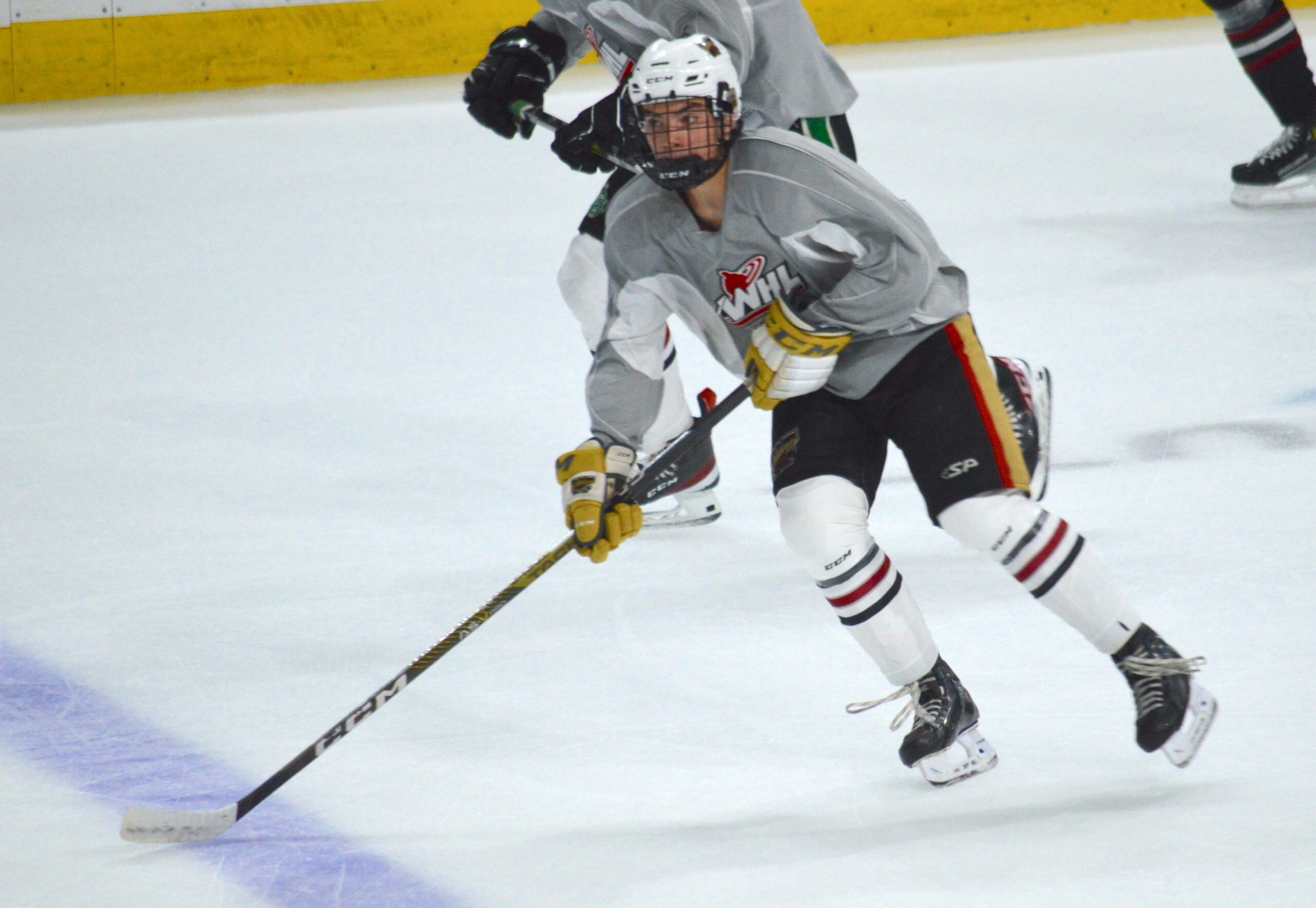 Hamilton, Missura show top draft skills in rookie camp - Red Deer Rebels