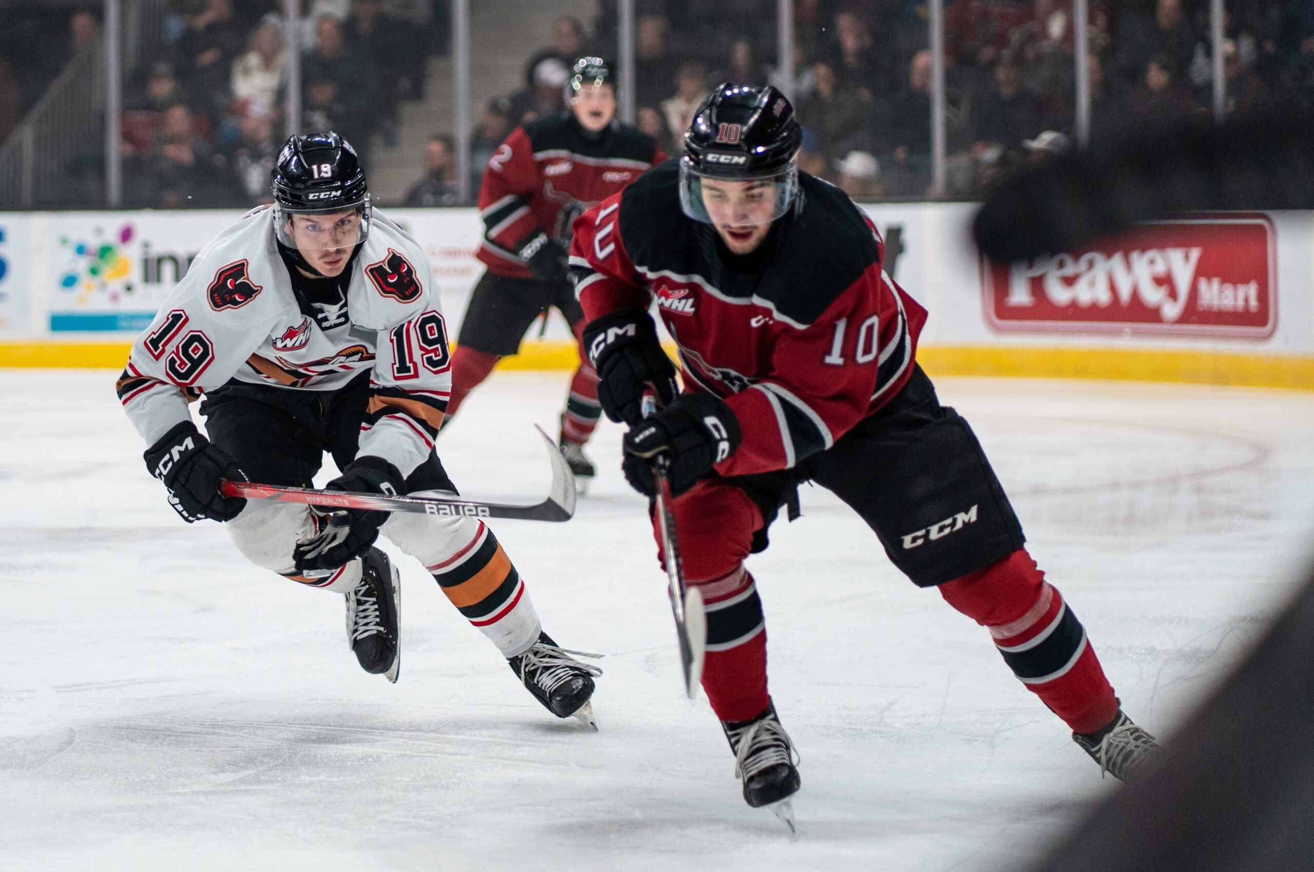 Gard strikes twice as Rebels cap weekend sweep of Hitmen - Red Deer Rebels