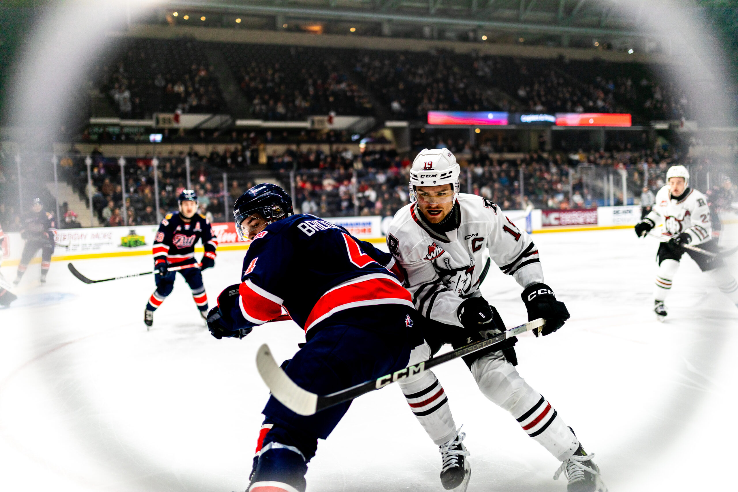 REBELS THIS WEEK: NOVEMBER 27 - DECEMBER 3 - Red Deer Rebels
