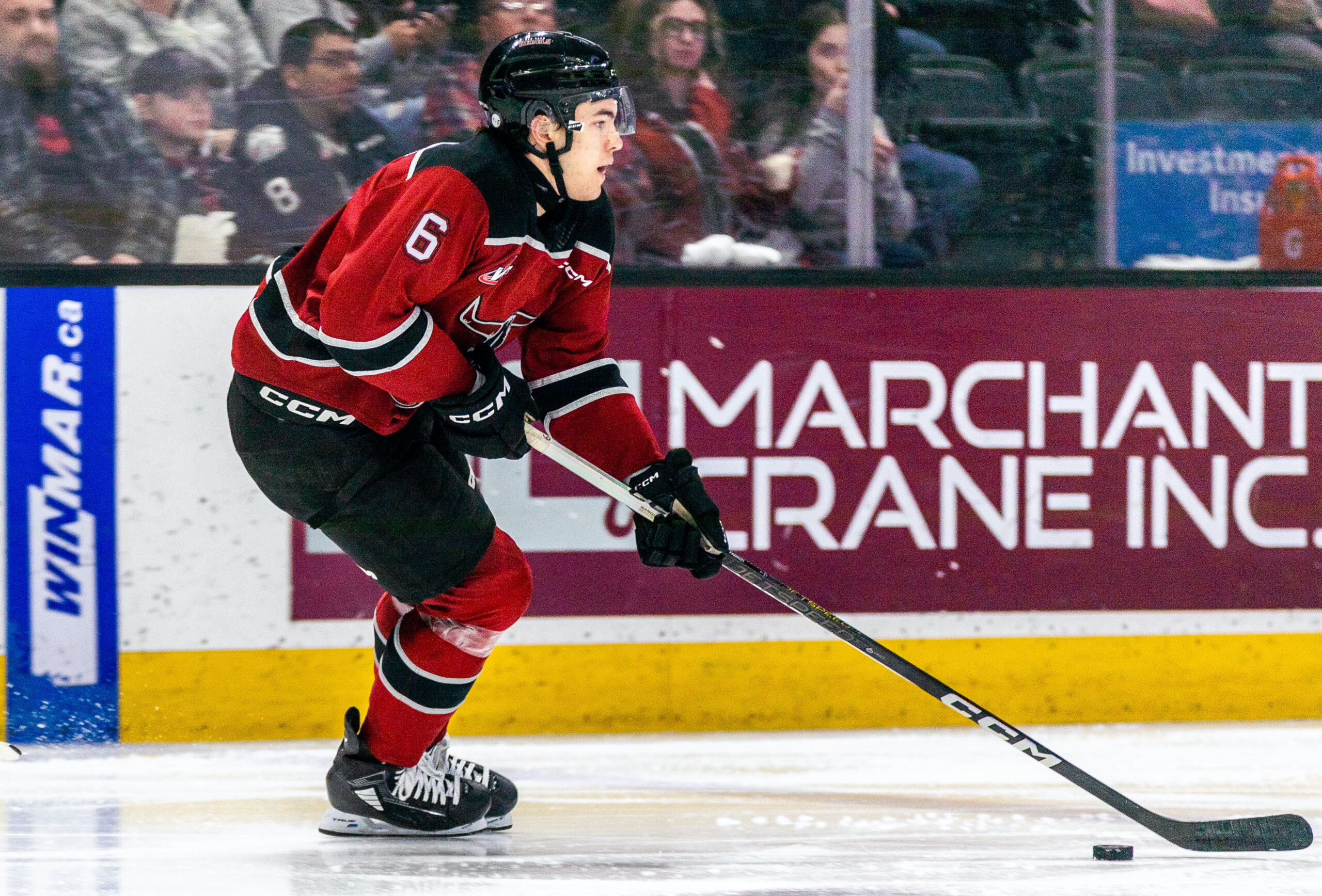 Big defenceman Fabrizi playing with more bite this season - Red Deer Rebels