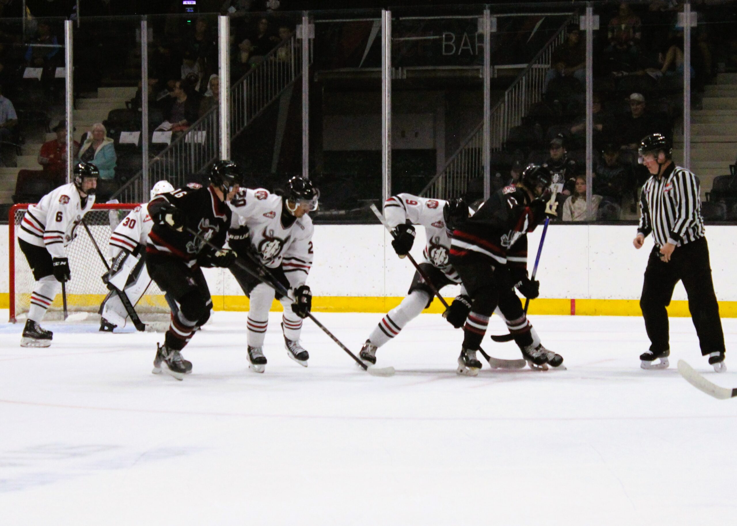 Red Deer Rebels