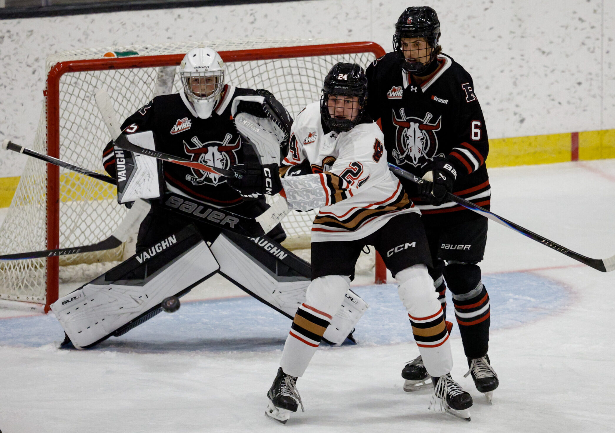 Red Deer Rebels
